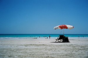 Shell Art – It’s back (who would’ve thought?) – Hey Bernice!