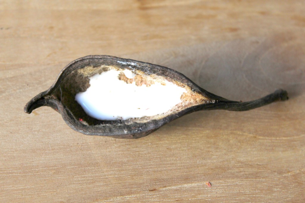 Robin Red Breast (seed pod) Mobile – Hey Bernice!