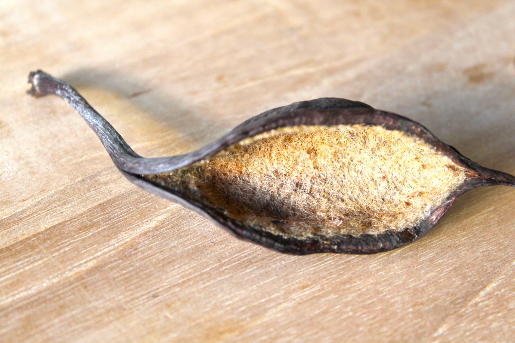 Robin Red Breast (seed pod) Mobile – Hey Bernice!